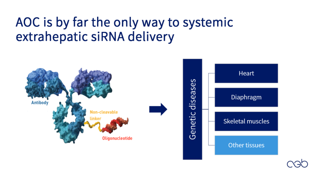 专访迦进生物吴昊｜融资数千万元，瞄准罕见病赛道开发小核酸偶联药物，先导管线2023年推进IND - 知乎