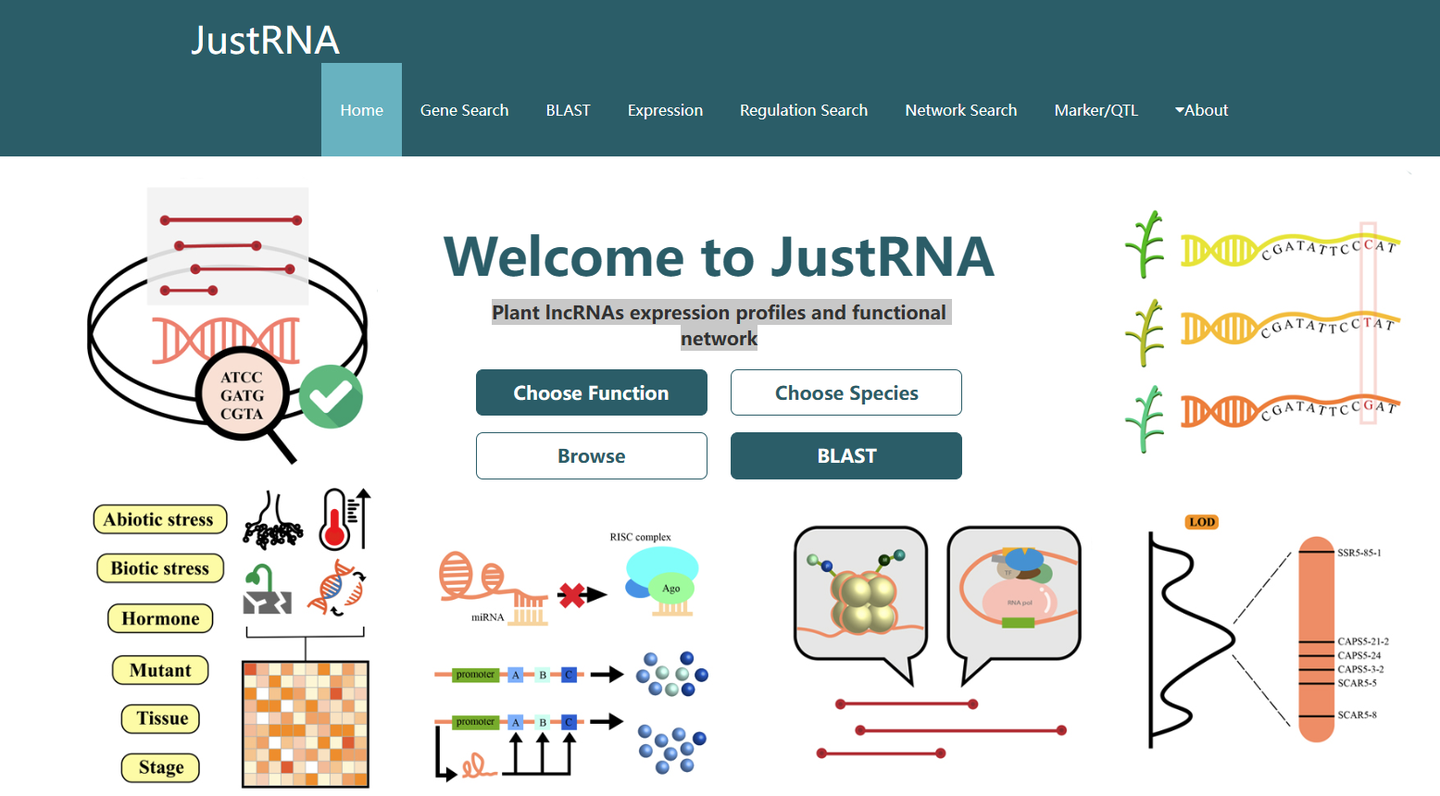 植物多物种及多组学数据库汇总 - 知乎
