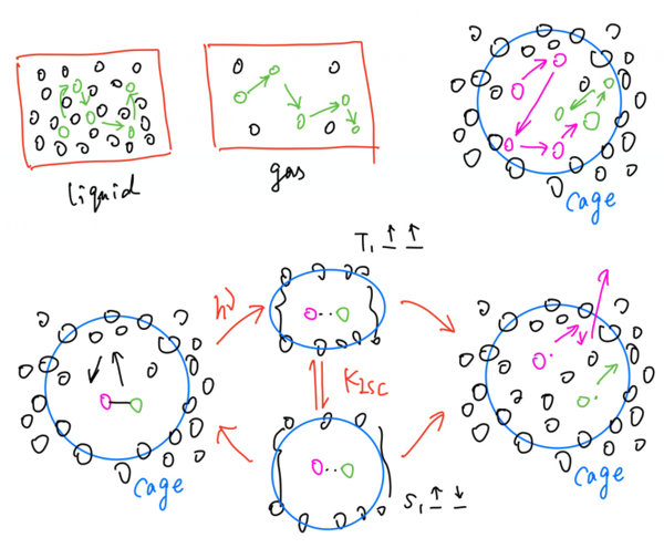 MPOC 笔记 第十六章 光化学（5） 双分子光物理过程1
