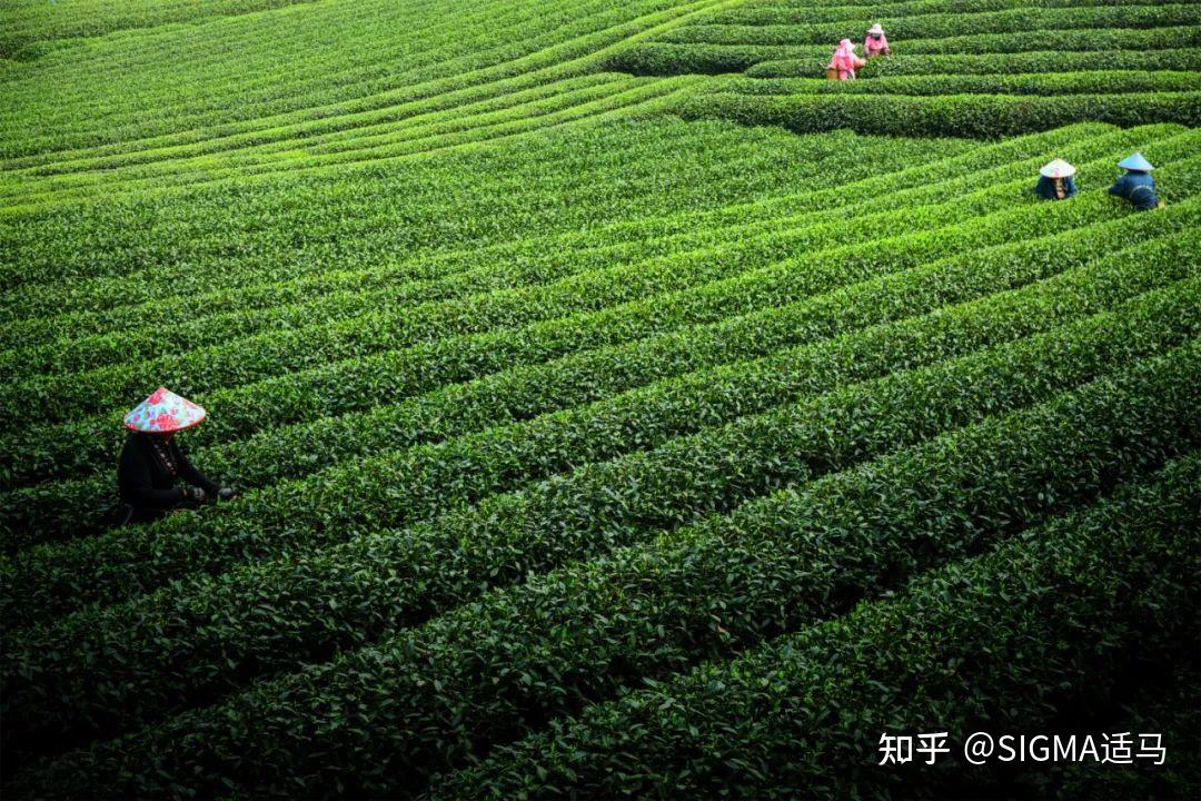 一文详解适马fp L的使用体验 - 知乎