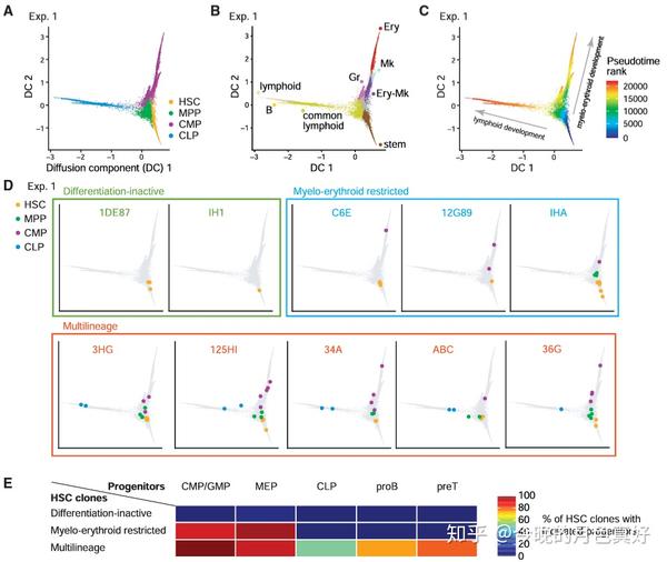 每天一篇单细胞55-PolyloxExpress Barcoding---谱系示踪加单细胞转录组 - 知乎