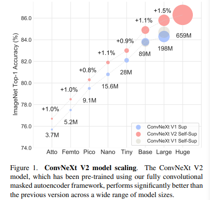 ConvNeXt V2:使用掩码自动编码器共同设计和扩展ConvNets - 知乎