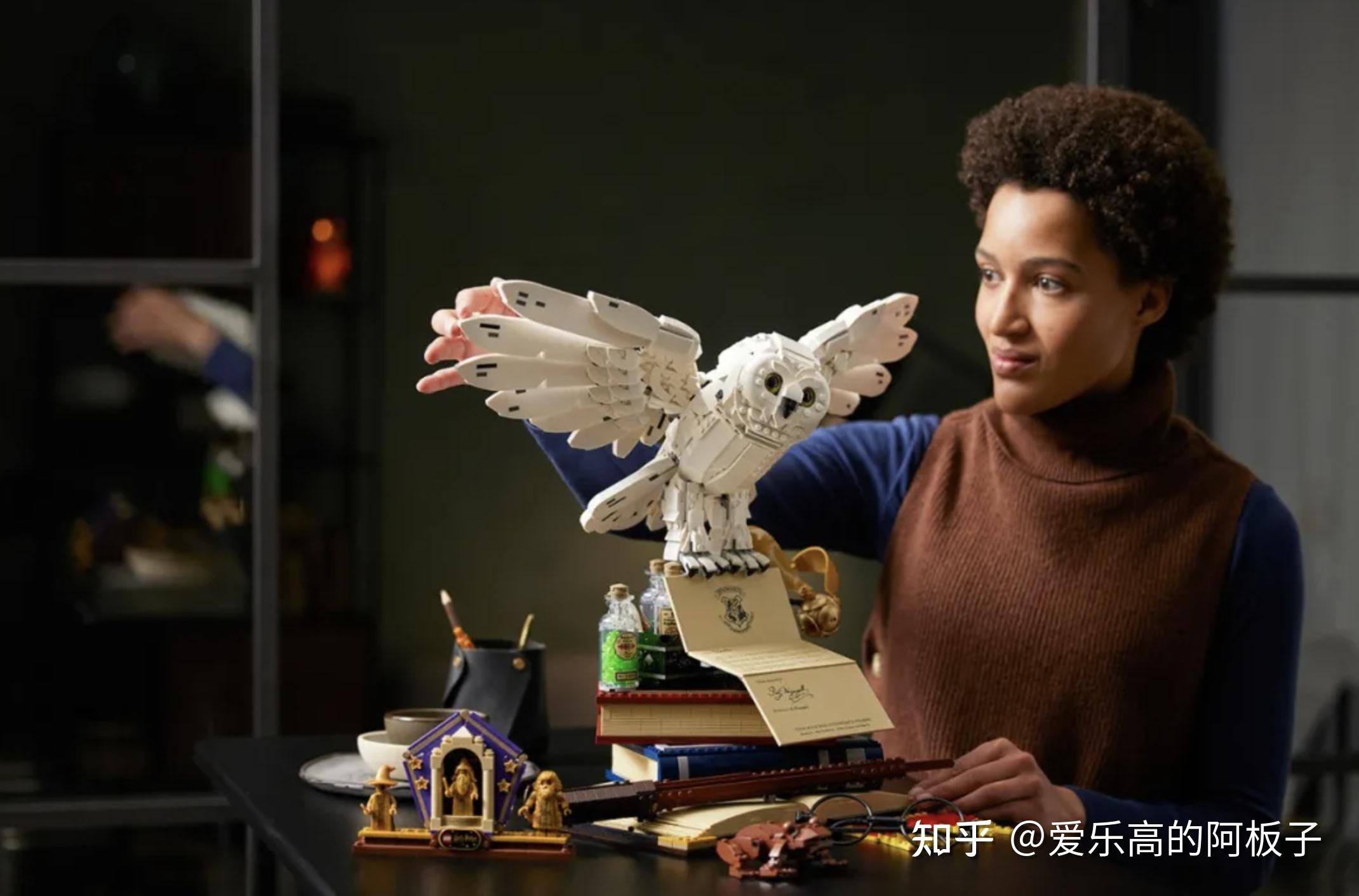 【乐高LEGO选购指南】哈利·波特系列盘点推荐（快使用积木再现魔法世界~） - 知乎
