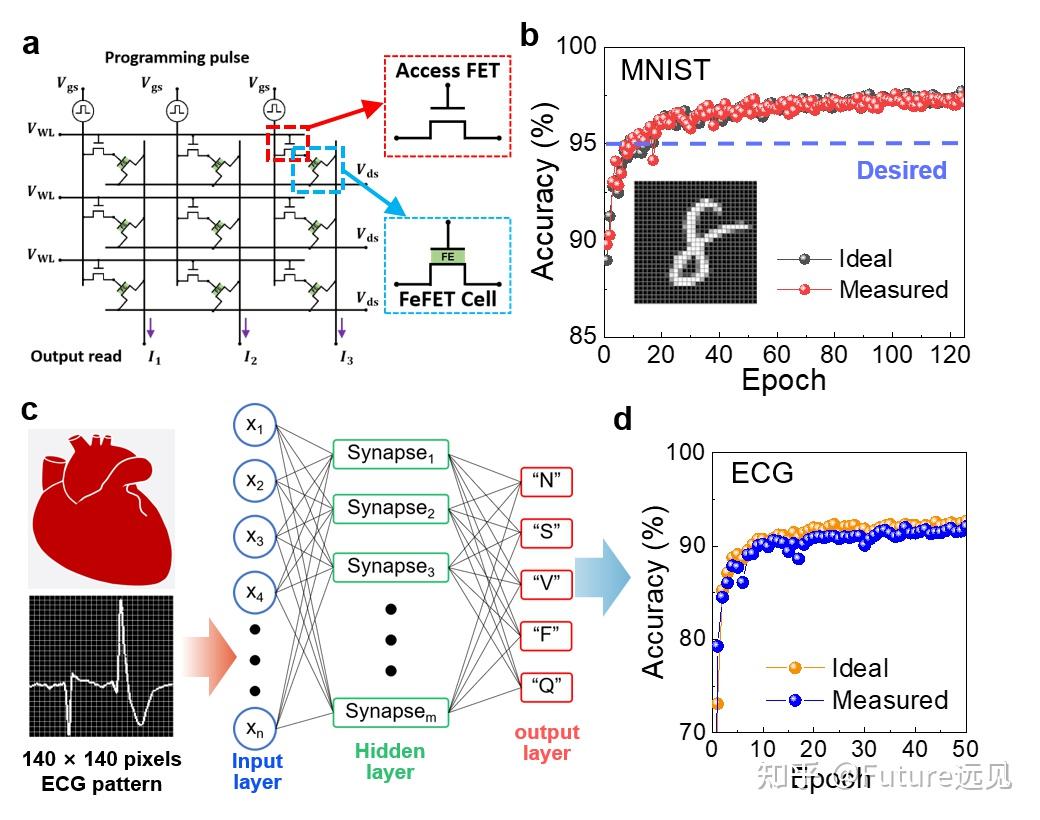 Chip发表中南大学、复旦大学最新合作成果：面向高效神经形态计算的范德华铁电晶体管全能人工突触 - 知乎