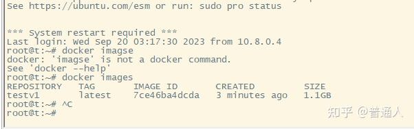 Python程序docker打包安装 知乎 2279