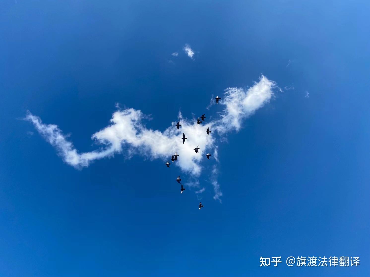 词义辨析之Emigrant、Immigrant和Migrant - 知乎