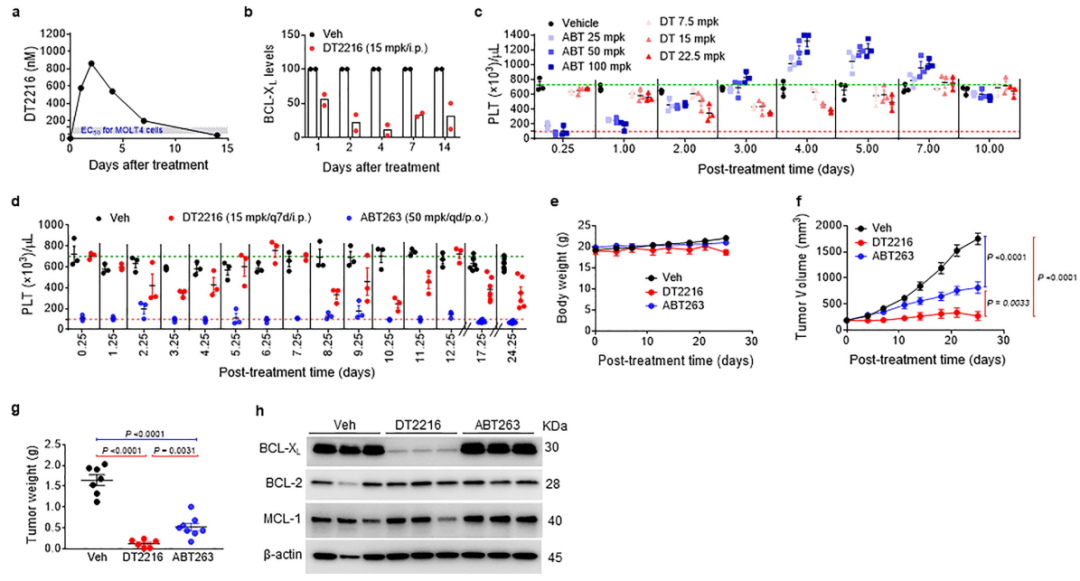选择性 BCL-XL PROTAC 降解剂实现安全有效抗肿瘤活性 - 知乎