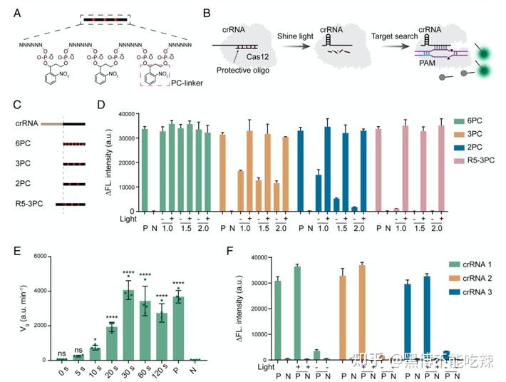 CRISPR-Dx技术mini-review - 知乎
