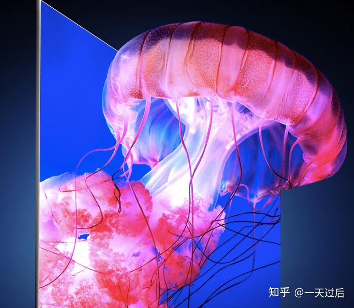 电视tcl v8g和t8e哪个好，有什么区别 - 知乎