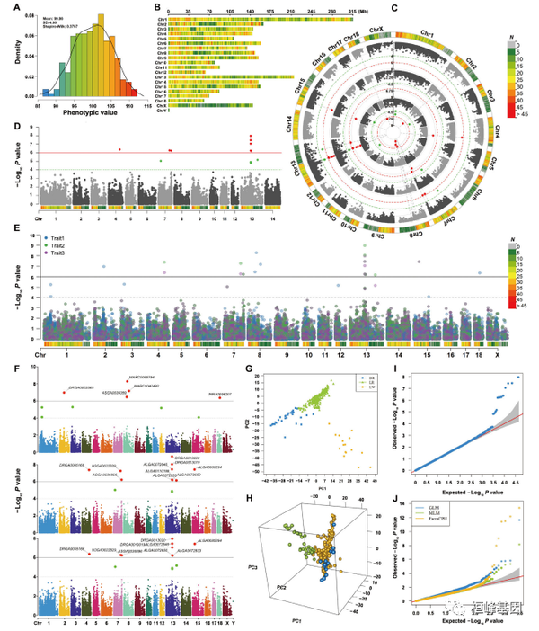 DNA 12. SCI 文章绘图之全基因组关联分析可视化(GWAS) - 知乎