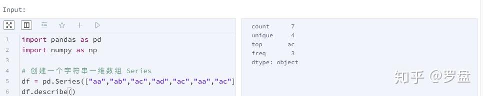 Pandas DataFrame describe 