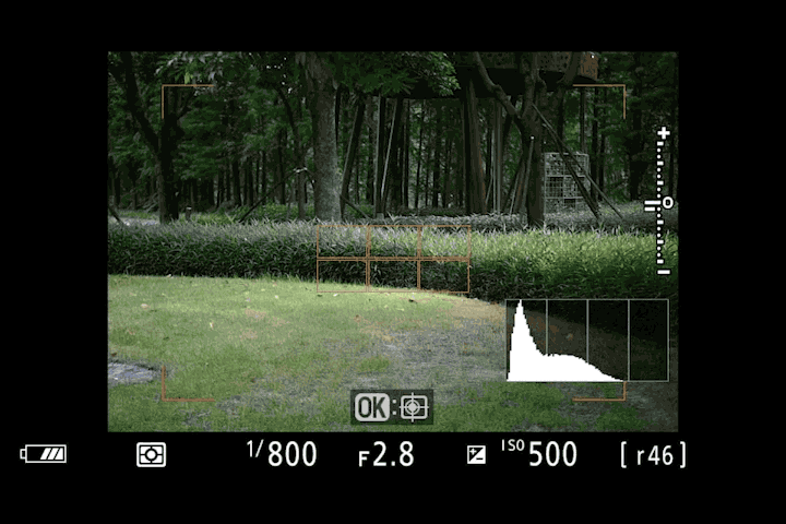 【a7club实战为王系列】唯卓仕 NF-Z 自动对焦转接环评测 - 知乎