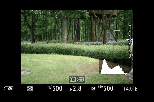 【a7club实战为王系列】唯卓仕 NF-Z 自动对焦转接环评测 - 知乎