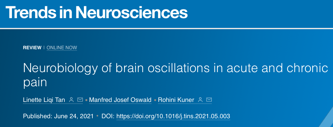 Trends Neurosci重磅综述| 一文读懂：疼痛时，大脑神经振荡的生物学机制 - 知乎