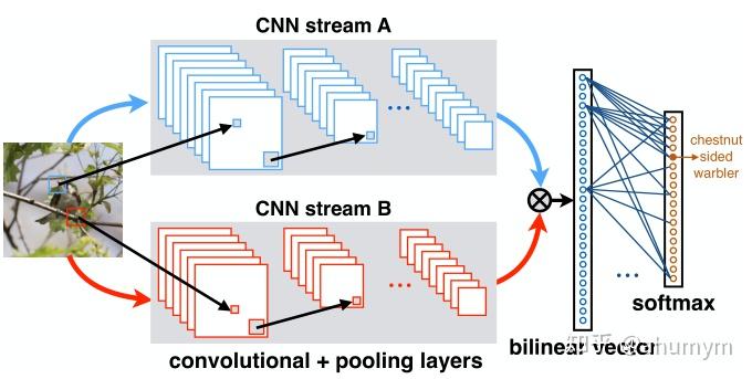 bilinear model && bilinear pooling（一） - 知乎