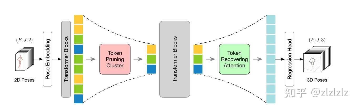 《Hourglass Tokenizer for Efficient Transformer-Based 3D Human Pose ...
