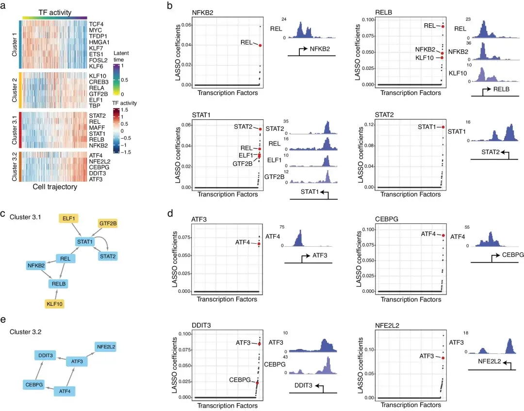 snapTotal-seq：单细胞Total RNA-seq分析揭示转录调控中心 - 知乎