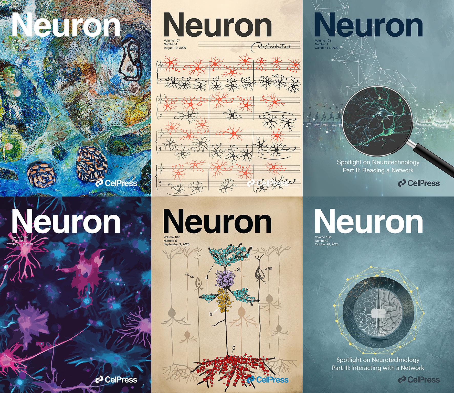 72张《Neuron》精美封面鉴赏丨2019~2021年半篇 - 知乎