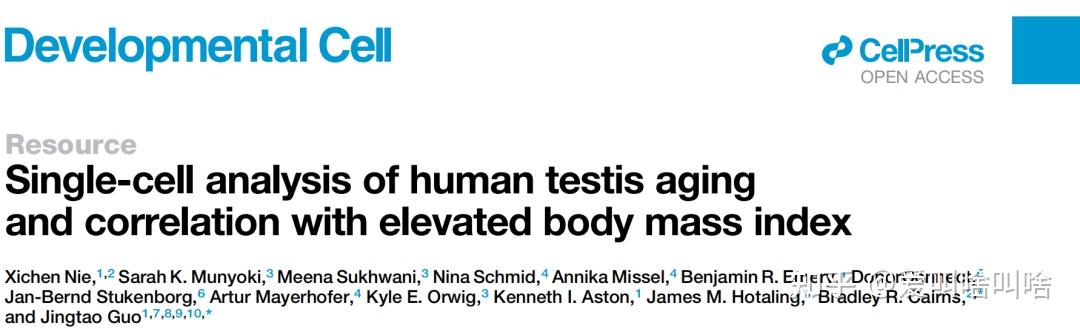 Dev Cell | 郭靖涛/Bradley Cairns 团队解析人类睾丸衰老的分子基础与BMI的影响 - 知乎