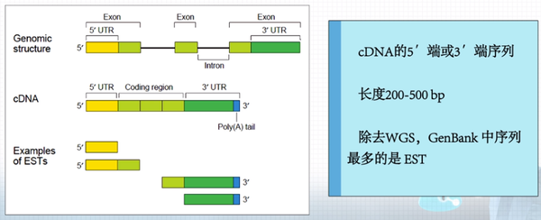 和我一起学生信(1)|生物信息学和功能基因组学 - 知乎