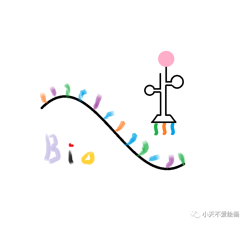 转录组差异分析及可视化 | 三大R包对比 （DEseq2 、edgeR、limma ） - 知乎