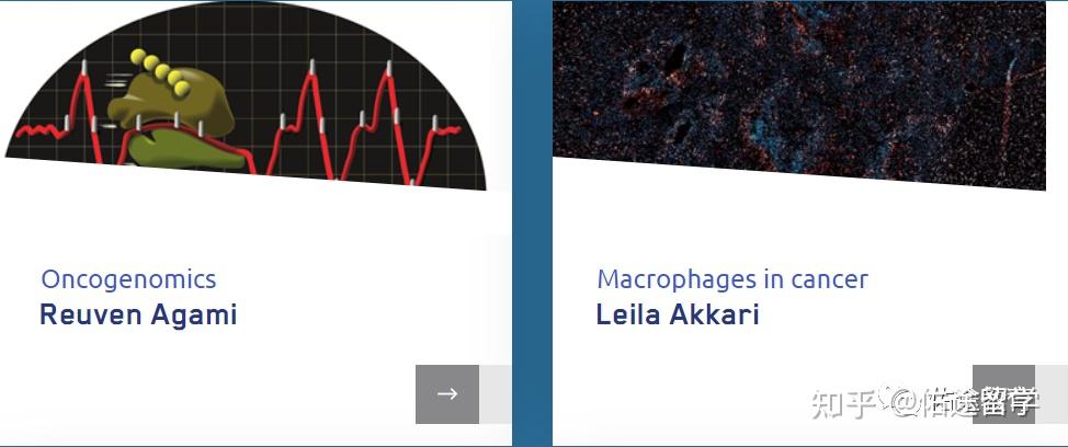 荷兰癌症中心NKI发展历史|优势介绍|博士项目、博士和博士后岗位招聘信息 - 知乎