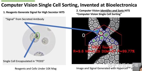 初创企业丨Bioelectronica——计算机视觉应用于单细胞分选 - 知乎
