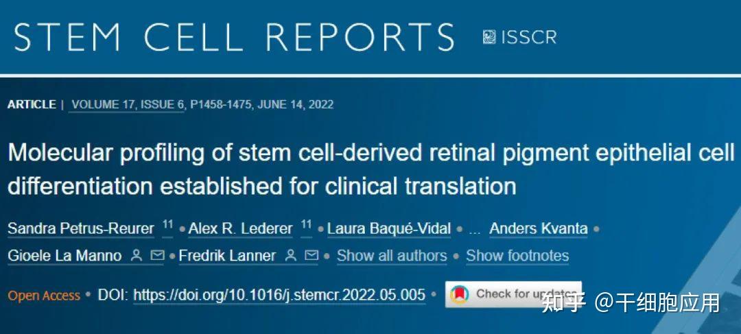 干细胞治疗黄斑变性再添力证！Cell子刊：可衍生纯正RPE细胞群，减缓疾病进程 - 知乎