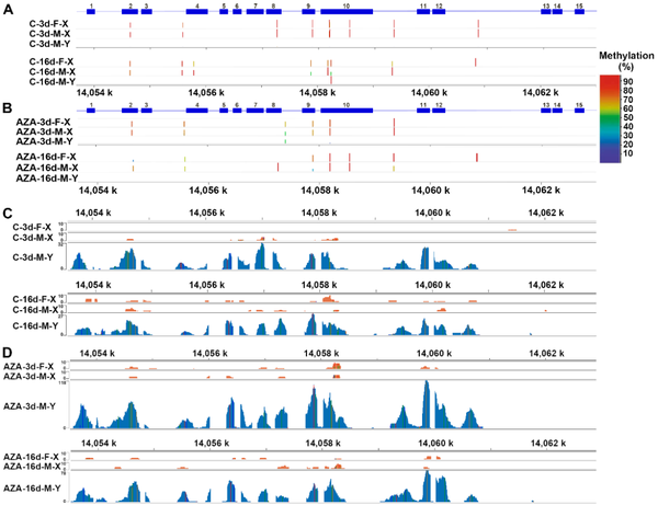 Sci Adv︱美国雪城大学刘占江团队揭秘斑点叉尾鮰的性别决定机制 - 知乎