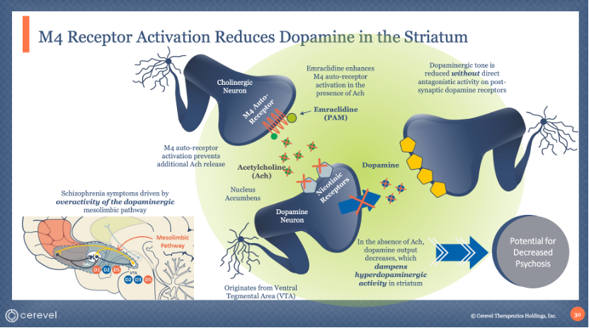 5年接力跑：87亿美元被收购的分子，从辉瑞放弃到Cerevel Therapeutics - 知乎