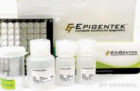 艾美捷5-mC RNA甲基化定量分析试剂盒：专一敏感弹性化 - 知乎