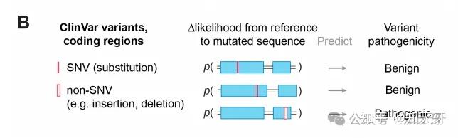 Evo2：跨生命领域的基因组“造物主”模型 - 知乎