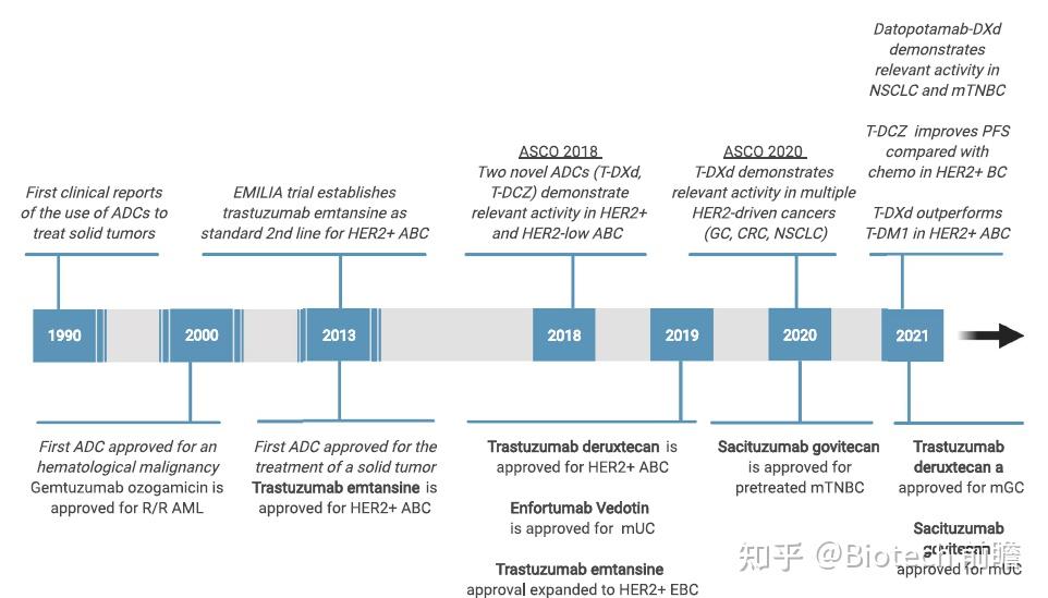 以PD-L1为靶点的ADC药物研发进展 - 知乎