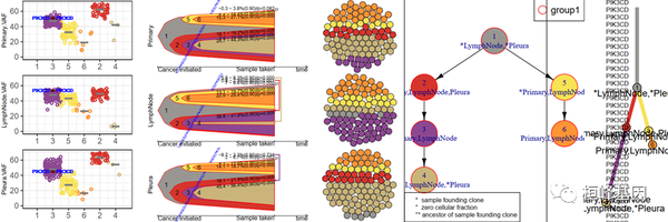 临床数据 4. 肿瘤克隆进化分析结果解读？ - 知乎