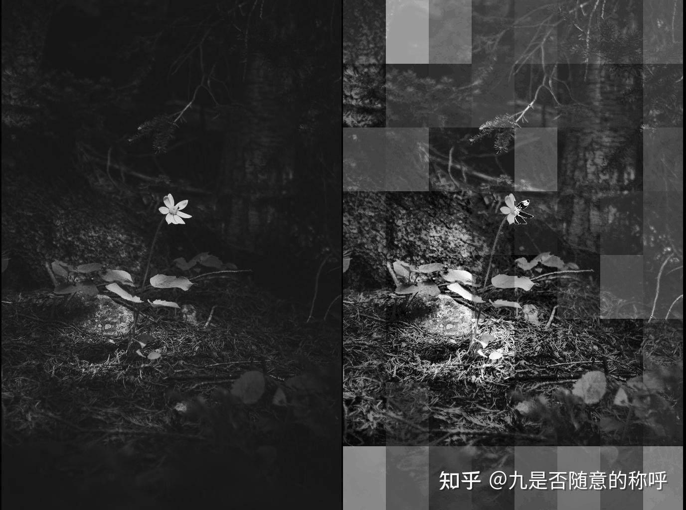 Opencv Algorithm：based On Python And C，限制对比度的自适应直方图均衡化clahe 知乎