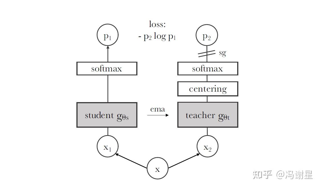 最强视觉自监督模型DINO系列超详细解读：DINO / DINOv2 / DINOv3 - 知乎
