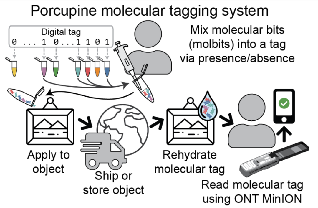 Nat Comm | DNA标记系统替代印刷或塑料条形码 - 知乎
