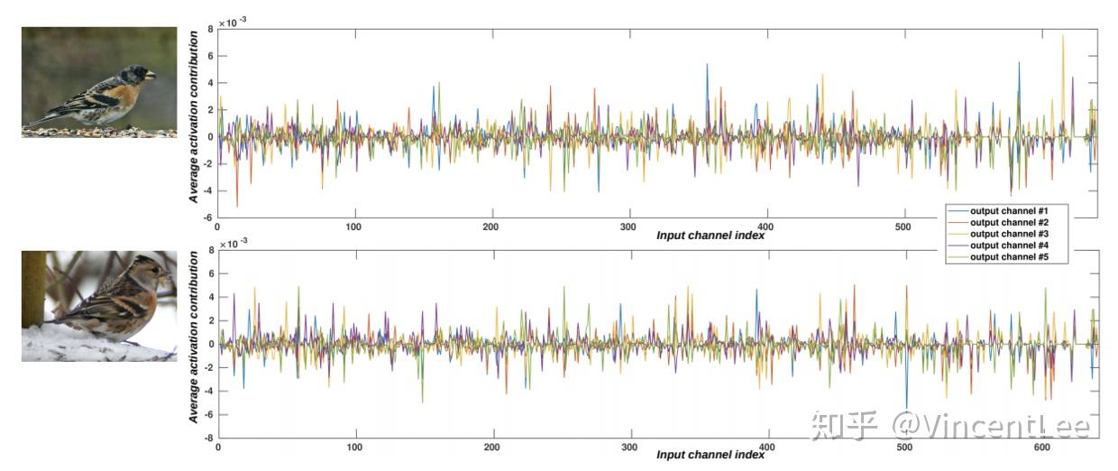 DGC：真动态分组卷积，可能是解决分组特征阻塞的最好方案 | ECCV 2020 Spotlight - 知乎