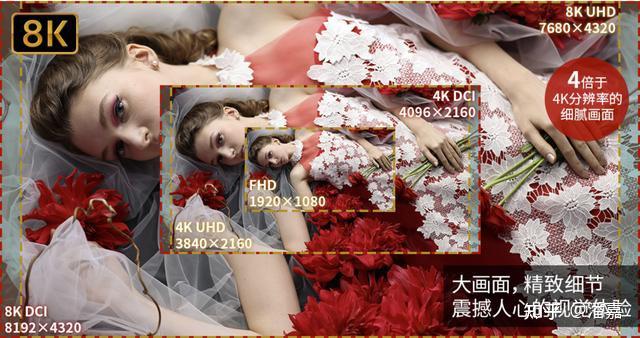 佳能R5和R6有啥区别？