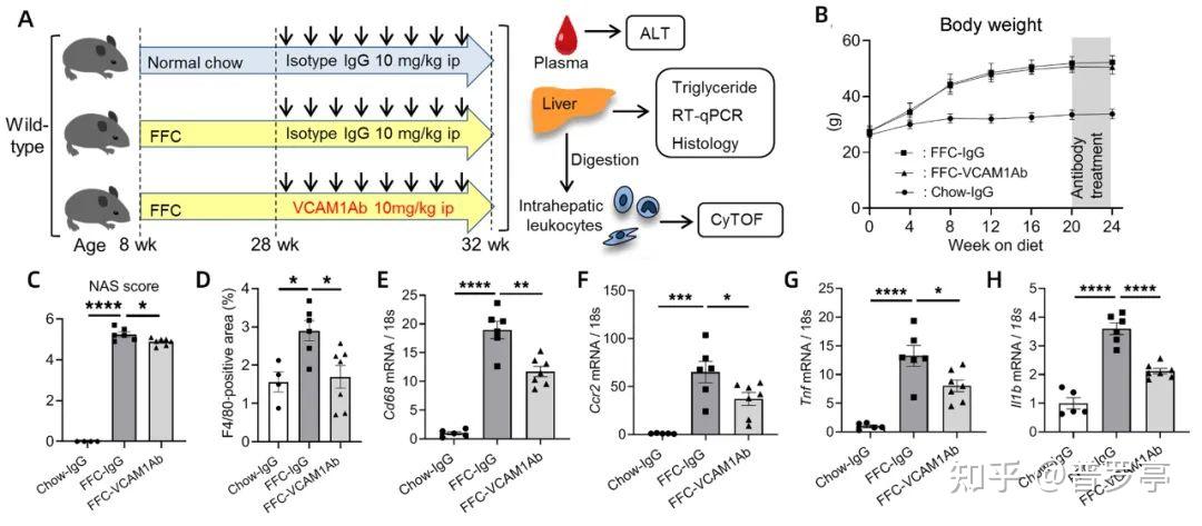 【文献分享，IF=19.456】多组学解析非酒精性脂肪性肝炎发病机制 - 知乎