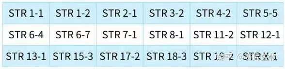 【赛库生物】带您详细了解细胞STR鉴定 - 知乎