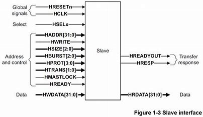 AMBA AHB总线协议详细说明（AHB5协议） - 知乎