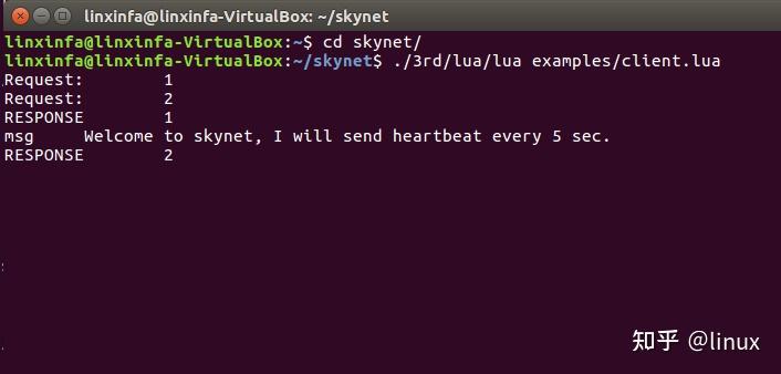 手把手教你从零跑一个Skynet，详细教程，含案例讲解 - 知乎