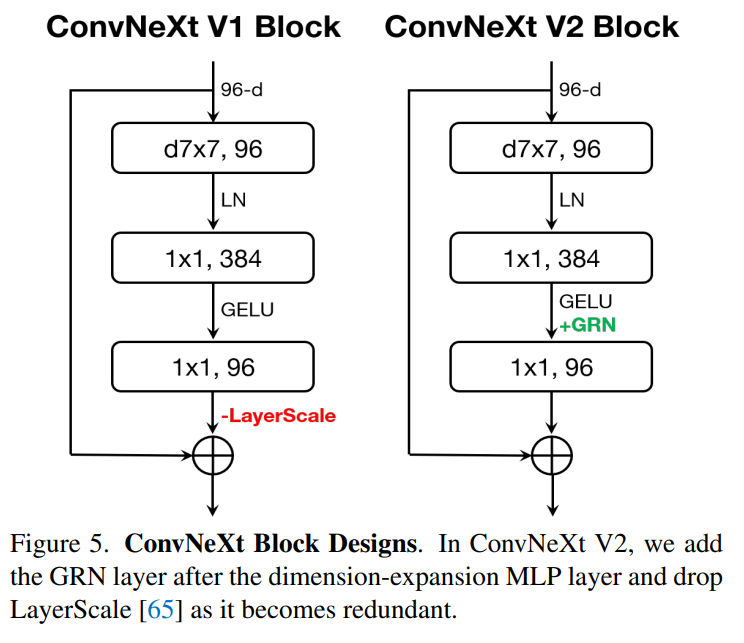 ConvNeXt V2来了，仅用最简单的卷积架构，性能不输Transformer - 知乎