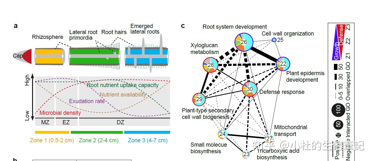 跟着Nature Plants做WGCNA数据分析 | 与我们的前面的分析使用代码基本一致 - 知乎