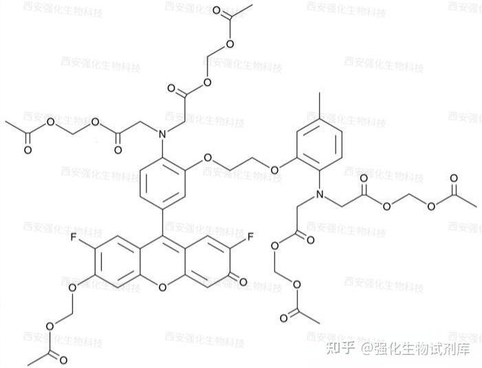 Fluo-4，AM，Cell Permeant ，可通过检测荧光强度来分析胞内钙离子浓度，273221-67-3 - 知乎