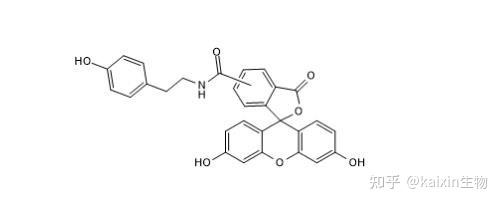 绿色荧光试剂210236-90-1,Fitc-TSA,Fluorescein TSA,Fitc-Tyramide荧光素酪胺 - 知乎