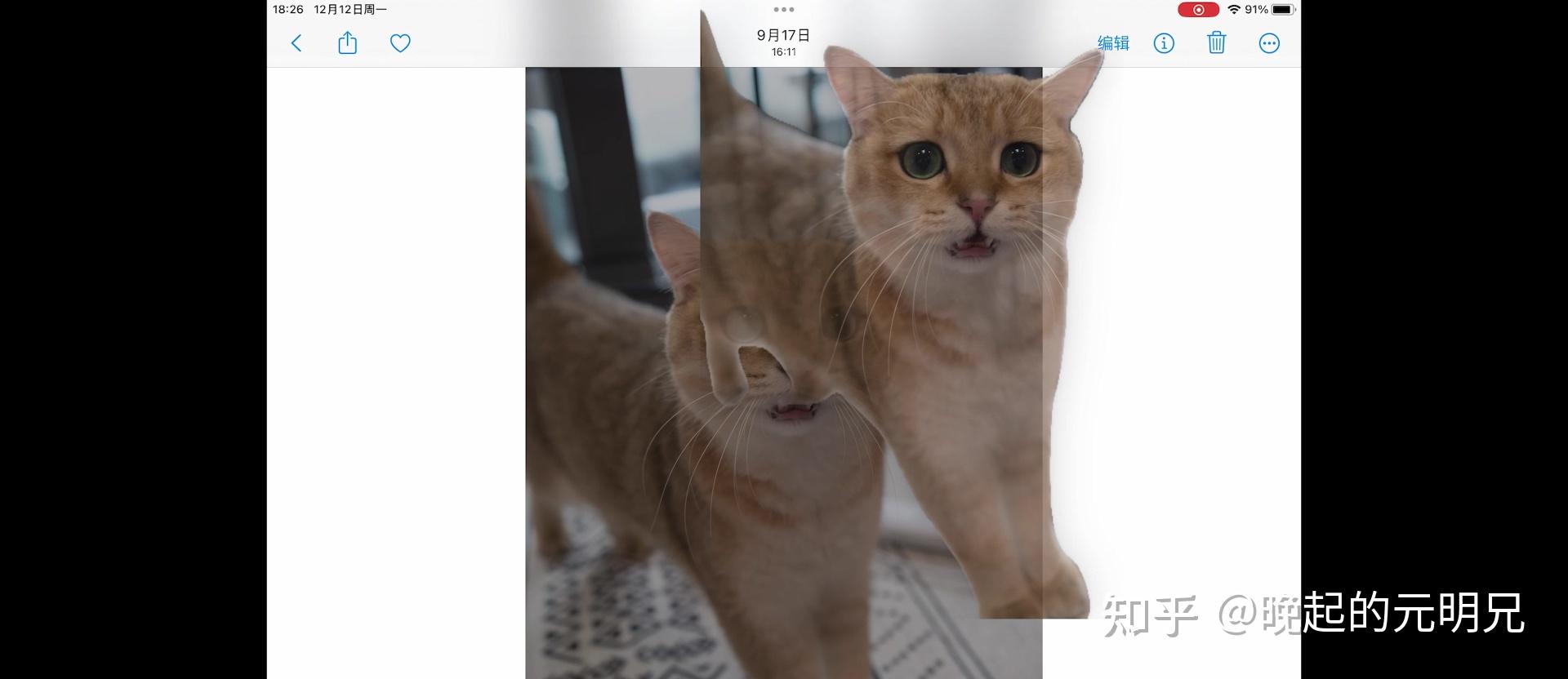 iPad 9重新评测：iPad 10一辈子也追不上的存在 - 知乎