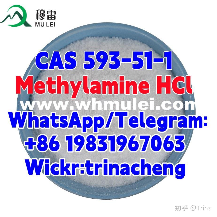 Methylamine HCl CAS 593-51-1 with fast delivery best price - 知乎