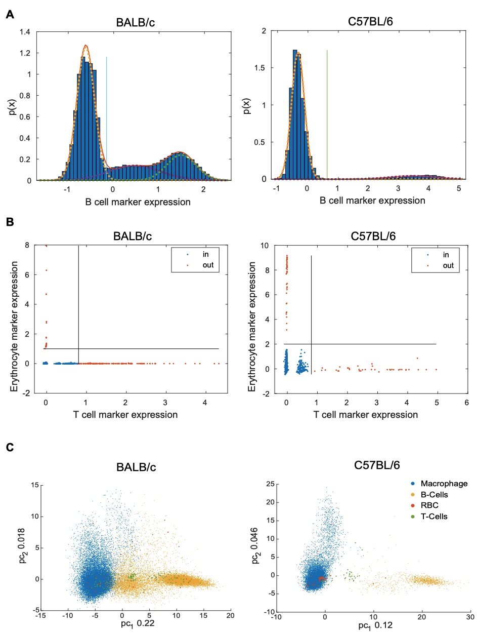FEBS LETTER丨单细胞测序探讨BALB/c和C57BL/6小鼠巨噬细胞的区别 - 知乎
